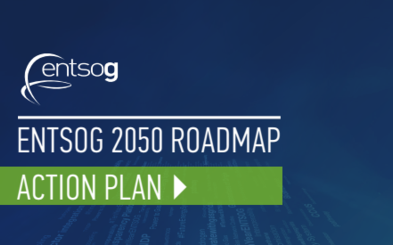 Roadmap Action Plan | ENTSOG