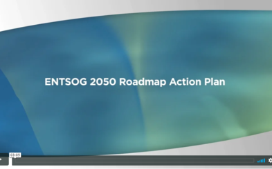 Roadmap Action Plan | ENTSOG